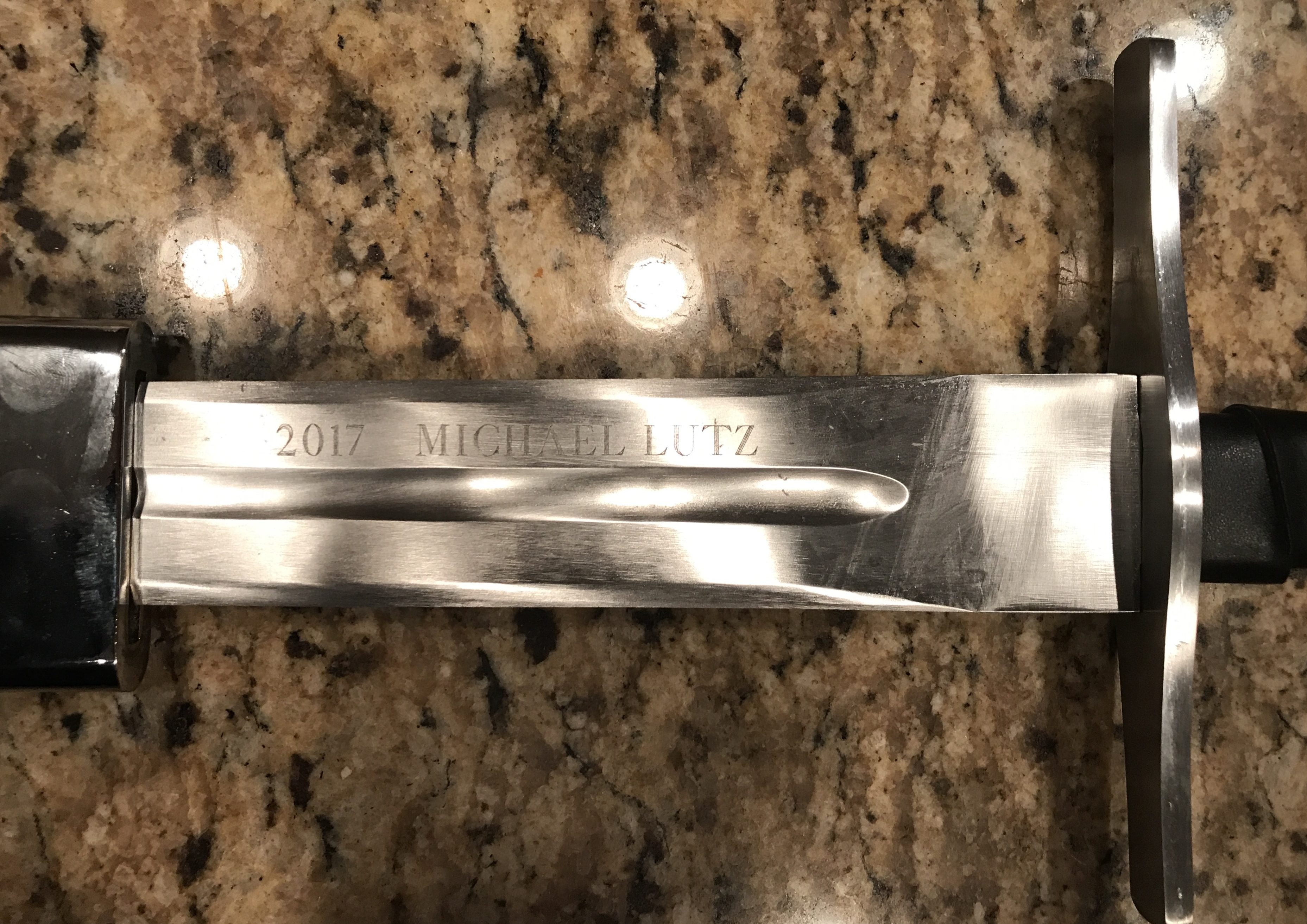 Mike Lutz Testimony - Team Deputy Lutz